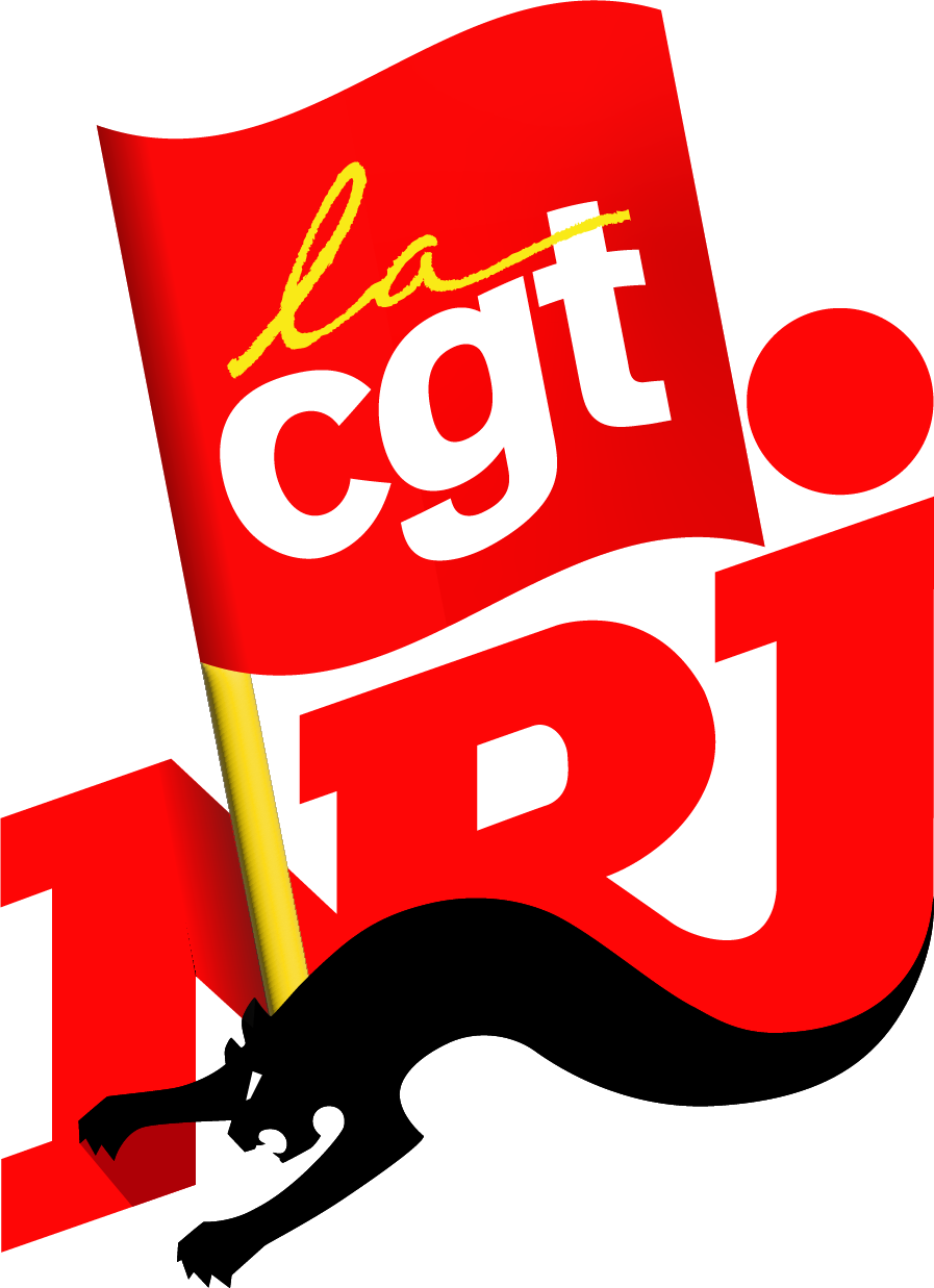 Découvrez les élus CGT NRJ Régions - Syndicat National de la ...